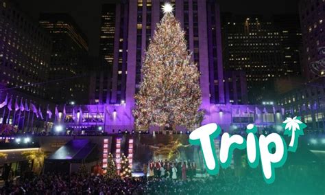 A árvore de Natal do Rockefeller Center de Nova York brilha 50 000