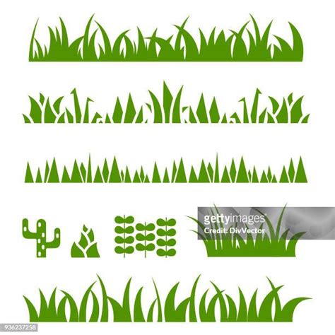 31445 Grass High Res Vector Graphics Getty Images