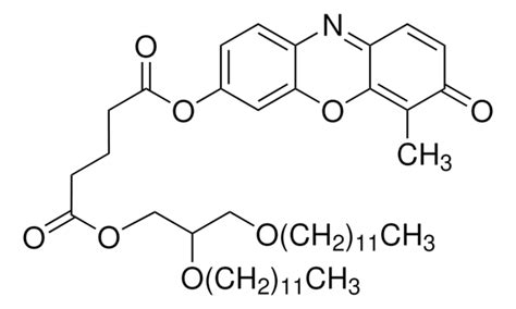 Lipase Enzyme Structure