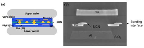 Cu Based Thermocompression Bonding And Cudielectric Hybrid Bonding For
