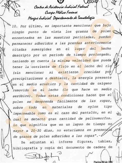 El Cuerpo De Santiago Maldonado Fue Plantado En El Río Chubut
