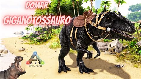 Como Domar Giganotossauro Ark Survival Evolved Youtube