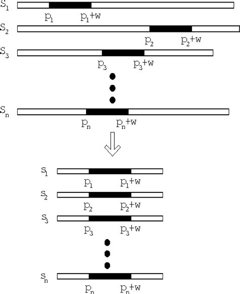 Figure 1 From Motif Finding In Biological Sequences ∗ Semantic Scholar