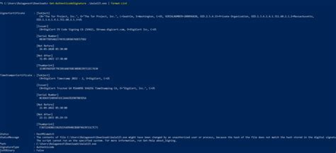 How To Detect Malware Hijacking Digital Signatures Security Investigation