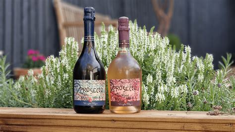 Celebrating National Prosecco Day With Pasqua Winerist Magazine