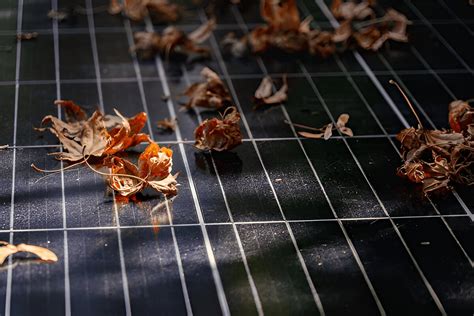What Factors Affect Solar Panel Efficiency Dsg Energy