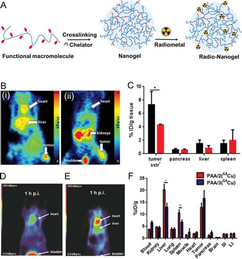 Ngs For Cancer Diagnosis A Schematic Representation Of Ng Synthesis Download Scientific