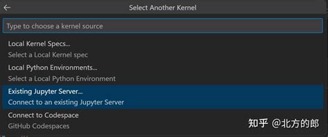 vs code 中的 jupyter notebook 知乎