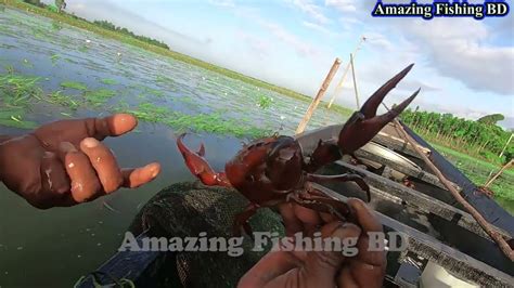 Unique Village Natural Fishing Country Fish Hunting By Ring Net Reanna Erdman YouTube