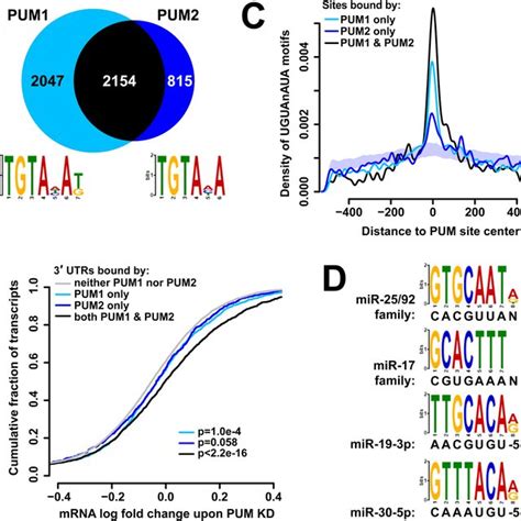 Pum1 And Pum2 Have Distinct And Similar Binding Characteristics A