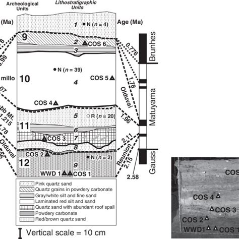 A Stratigraphic Cross Section Of Excavation 6 Locations Of Samples Download Scientific