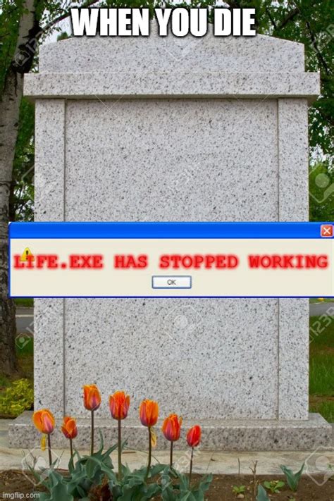 Exe Has Stopped Working Meme Template