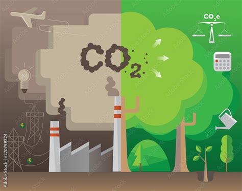 Infographic Of Carbon Offset Concept Planting Of Trees To Absorb Co2 In Compensation Of Same