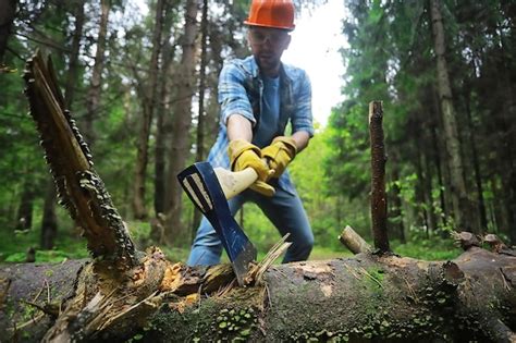 Premium Photo Male Worker With An Ax Chopping A Tree In The Forest
