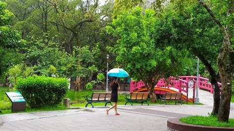 庭園水色空濛雨 斜風細雨不須歸 如夢似幻醉詩畫 窈窕淑女姿花傘 台北文山 興隆公園 2020 05 28 YouTube