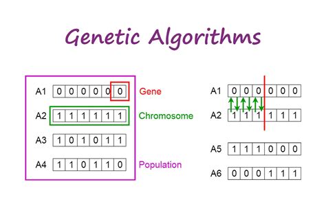 Genetic Algorithms In Machine Learning Understanding The Basics
