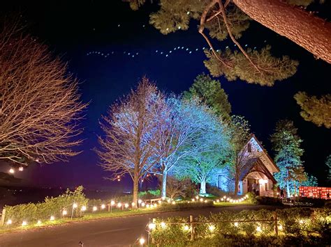 宮城最大級ライトアップ 星あかり 仙台夜時間