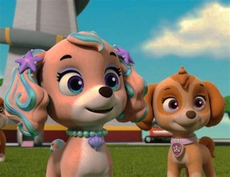 Pin On Paw Patrol