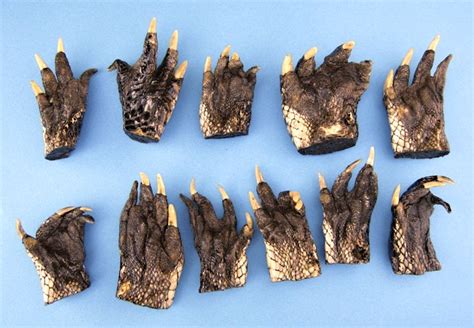 Native Crafts Wholesale Now Open To The Public Real Alligator Foot
