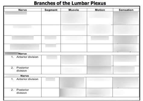 Lumbar Plexus Chart Diagram Quizlet