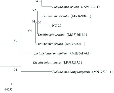 Decolorization Percentage In 10 Fold Diluted Anaerobic Digestion