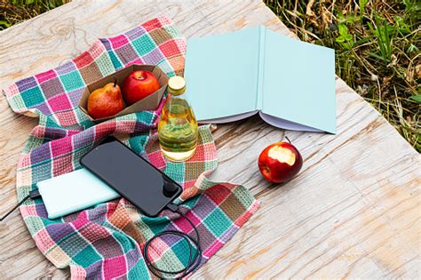 화창한 날에 자연속에서 피크닉을 즐겨보실 수 있습니다 여름 휴가 파워 뱅크에서 충전 스마트 폰 책 과일과 정원에서 피크닉을위한 음료 공간을 복사합니다 0명에 대한 스톡 사진