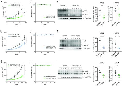Efficacy Of Itri 90 And Itri 126 In Tumor Regression Of The Cwr22rv1 Download Scientific