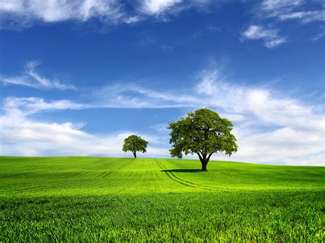 Fondos De Pantalla 2600x1950 Fotografía De Paisaje Campos Cielo árboles