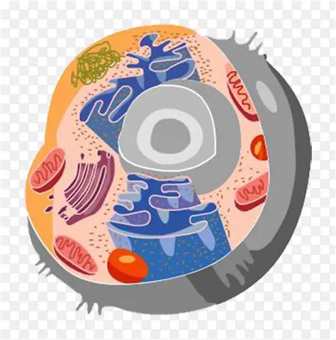 简约生物医学细胞图形PNG图片素材下载 图片编号9075343 PNG素材网