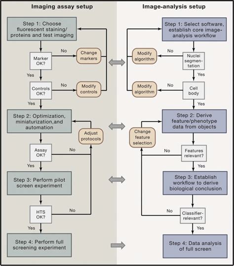 Workflow For Assay Development And Image Analysis For Hci Proposed By