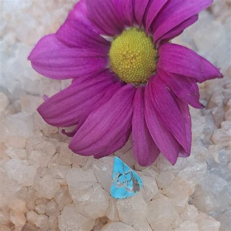 خرید و قیمت فیروزه نیشابور کد 1544 از غرفه نگین خاتم