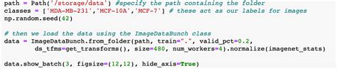 How Fastai Makes Deep Learning Easy Classifying Cancer Cells Using Cnn