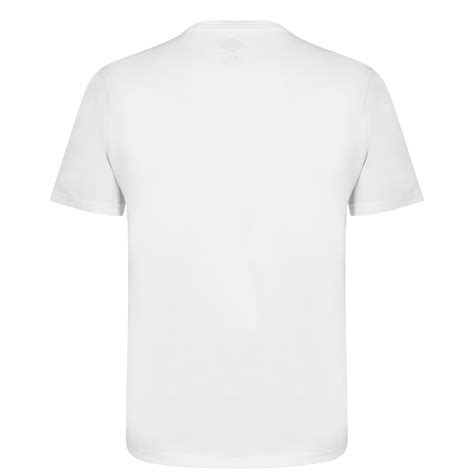 Dickies Mens Icon Logo T Shirt Regular Fit T Shirts Flannels
