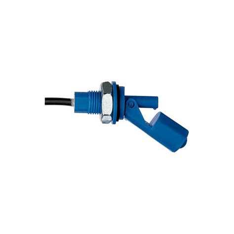 Rwi 016pvk Float Switch Pvdf Polivinylidine Fluoride Pse Prig