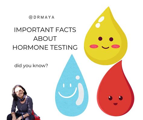 Your Guide To Personalized Hormone Testing Dr Maya