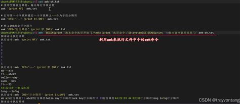 Linux Awk命令详解 参数 选项 内置变量 内置函数 脚本多图、多示例 Csdn博客