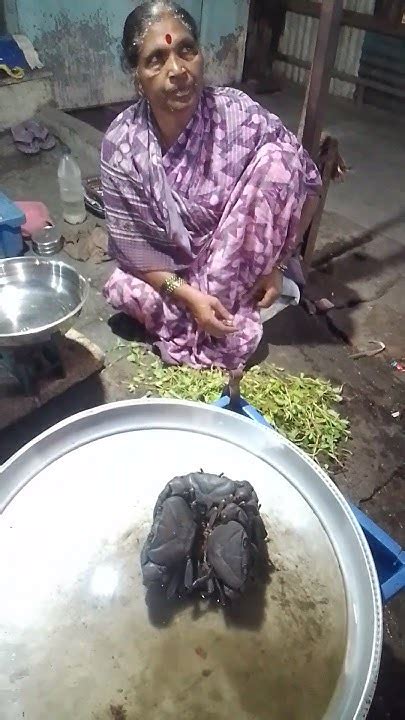 बापरे एवढे मोठे खेकडे🦀व एवढे महाग 🦀😱🙏 Youtube