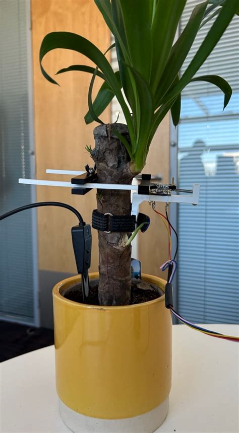 Design Of Cost Effective Iot Dendrometer Sensor For Environmental Monitoring Sensing The Forest