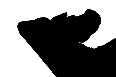 Svg 로사 비열한 이구아나 도마뱀 무료 Svg 이미지 및 아이콘 Svg Silh