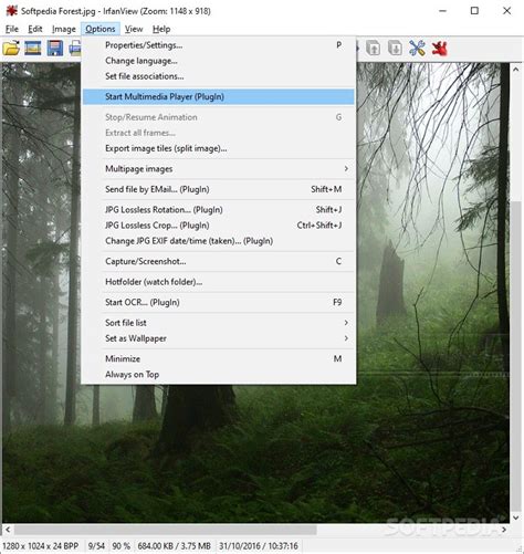 portable irfanview download softpedia