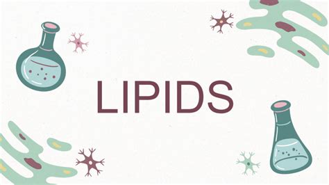 Lipids Properties Functions And Types Presentation