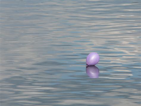 Balloon Detection Object Detection Dataset And Pre Trained Model By