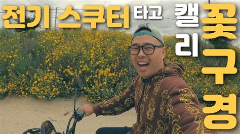 전기 스쿠터 타고 캘리포니아 꽃구경 Segway C80 전기자전거 세그웨이 Youtube