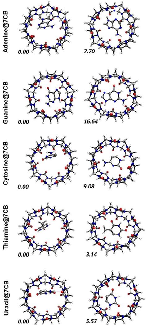 Figure 1 From Theoretical Investigation Of The Binding Of Nucleobases To Cucurbiturils By