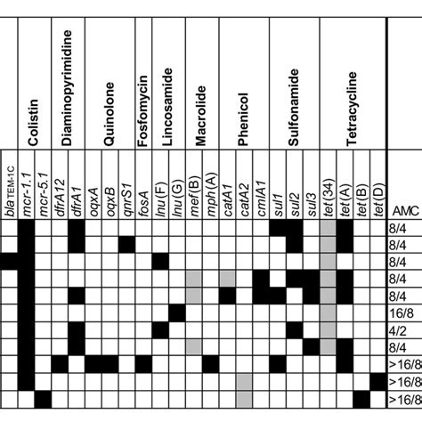 Resistance Profiles For Four Vancomycin Resistant Enterococci Overview Download Scientific