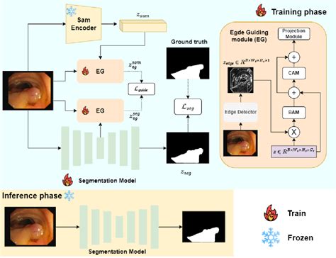 论文审查 Sam Eg Segment Anything Model With Egde Guidance Framework For Efficient Polyp Segmentation