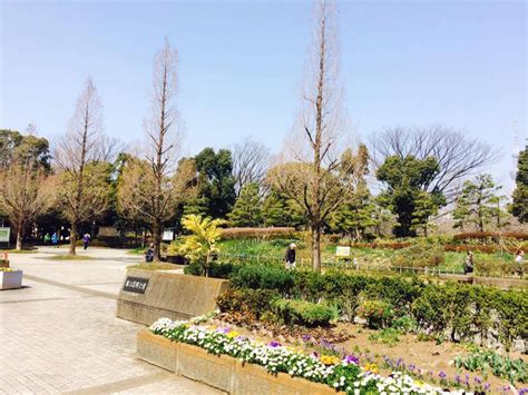 【深川①086】深川本村町 江戸町巡り