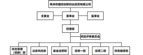 组织架构 株洲市国投创新创业投资有限公司