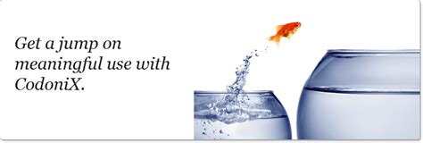 Codonix Notes Emr Software Charting And Coding Software That Works