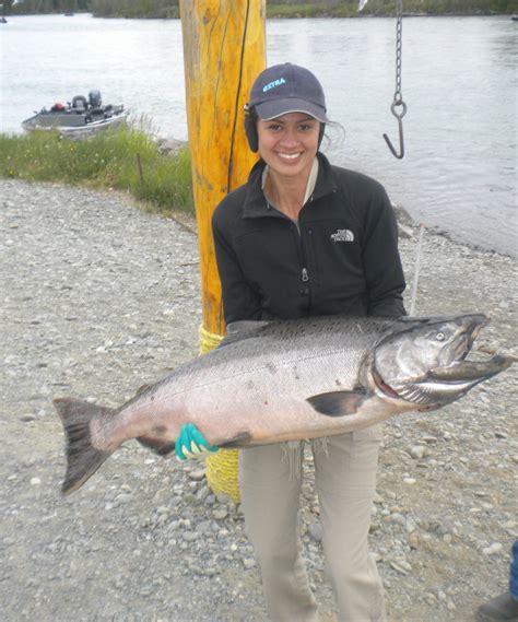 Alaska King Salmon Alaska Halibut Fishing Charter